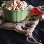 Java Chocolate Chip Ice Cream - mom makes dinner